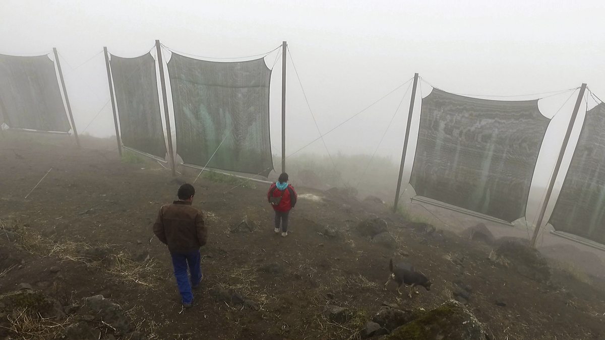 BBC World Service - People Fixing the World, Cloud Catchers In Peru