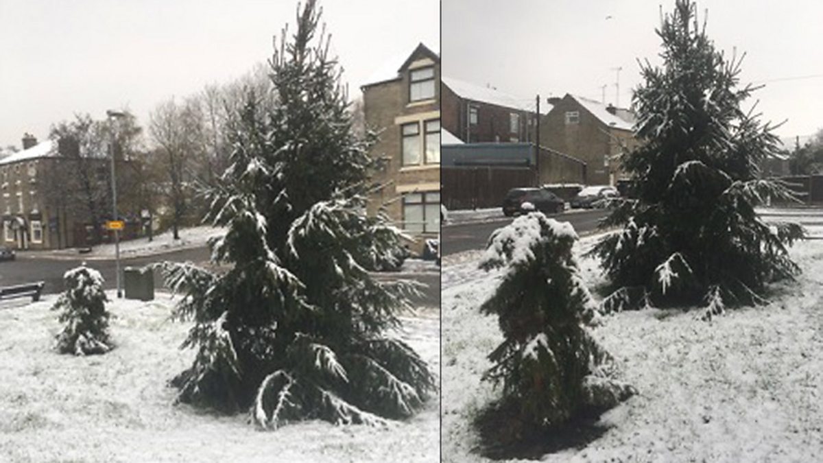 BBC Radio 5 Live - 5 Live In Short, The ‘disgraceful’ Christmas tree ...