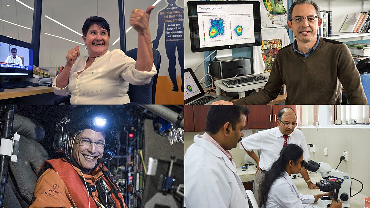 BBC World Service - The Inquiry, What Went Right in 2016?