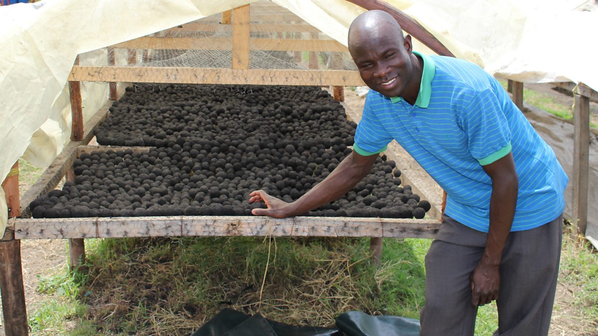 BBC World Service - World Business Report, Making fuel out of human ...