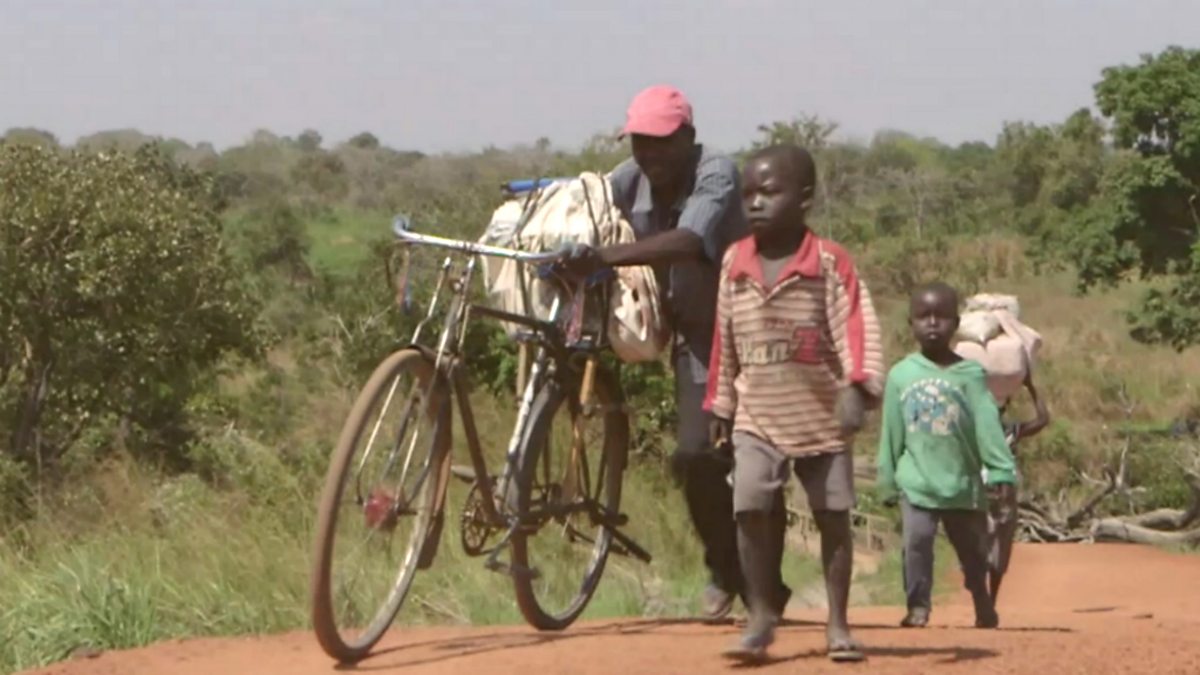 BBC World Service - From Our Own Correspondent, Crisis Management