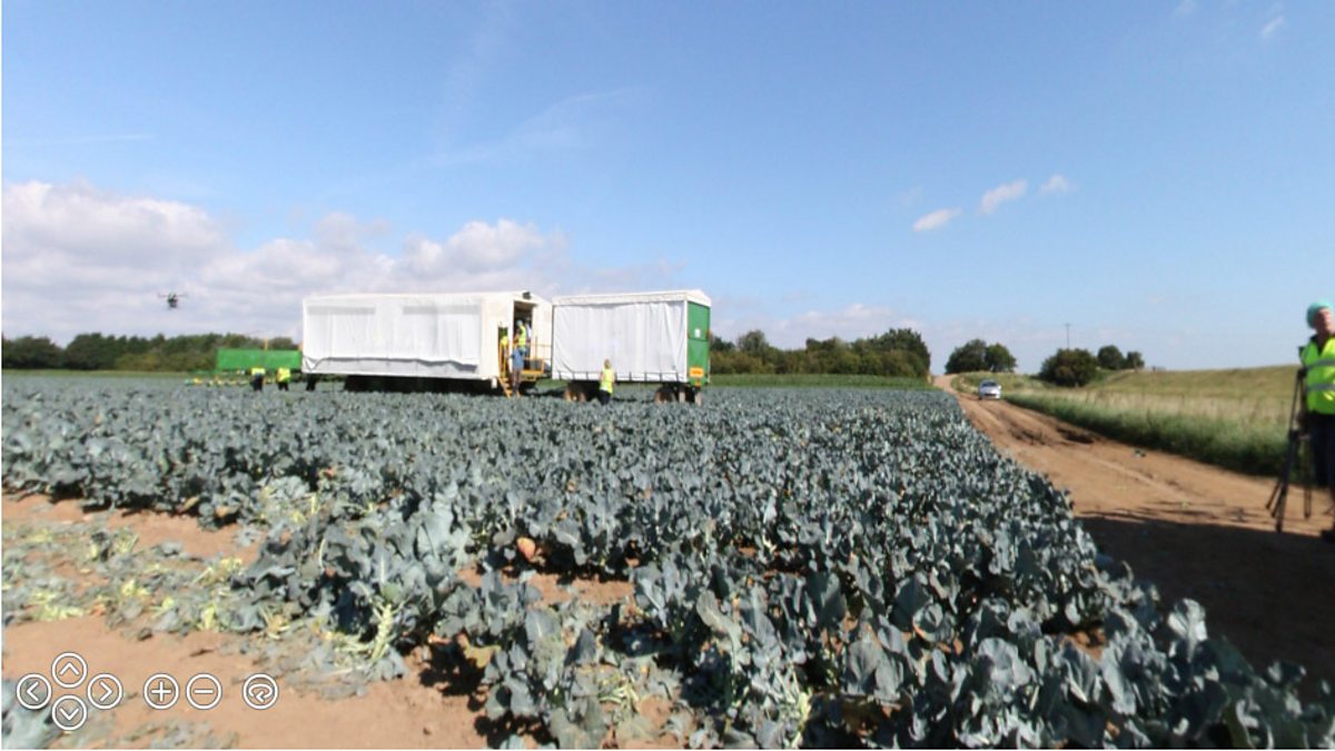 BBC Two - Harvest, Harvest 2013 - 360º view of a broccoli field