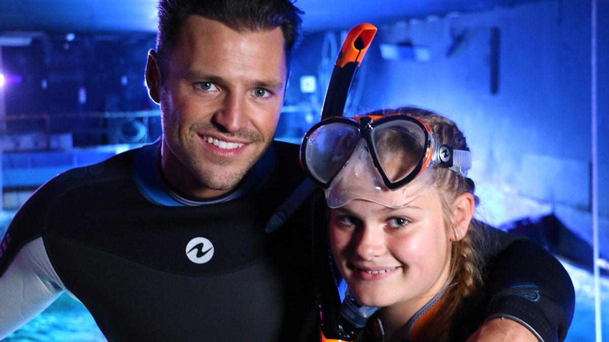 The Dengineers - Series 2: 7. Eco Den - BBC iPlayer