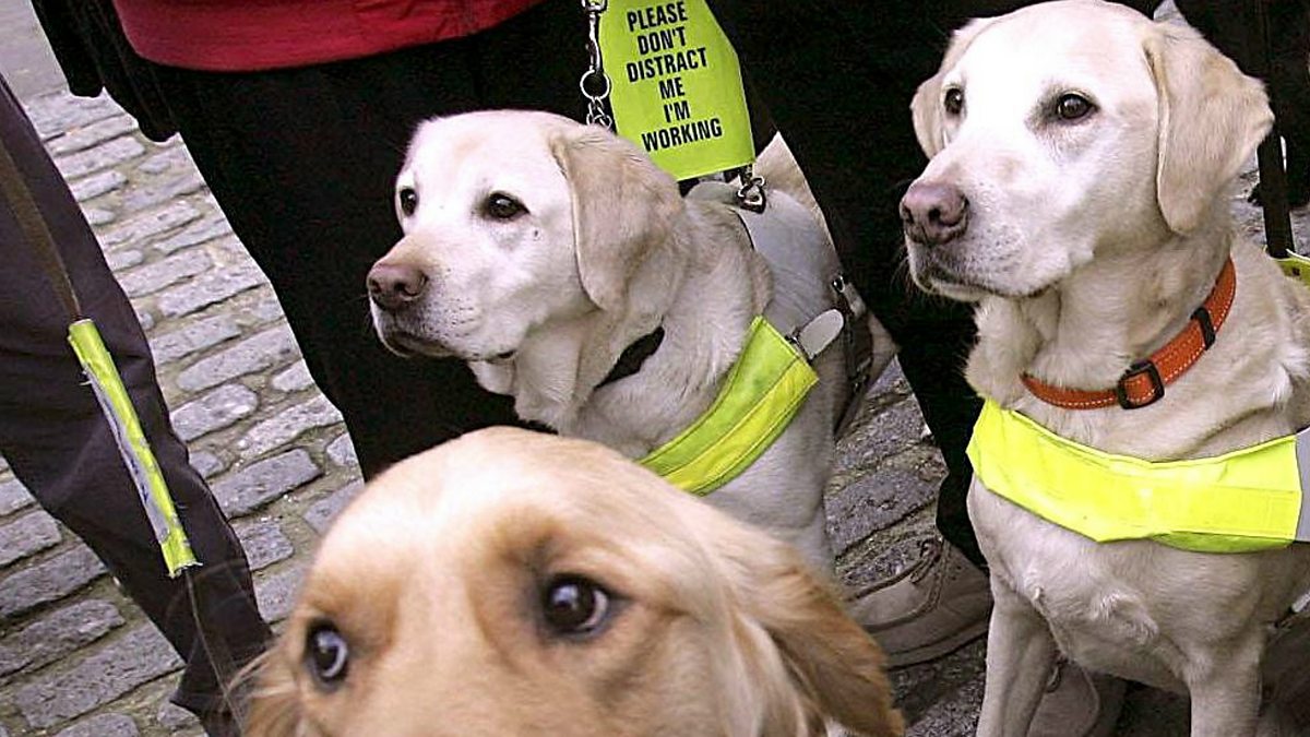 BBC Radio 5 Live - 5 Live In Short, Muslim and blind – the stigma of ...