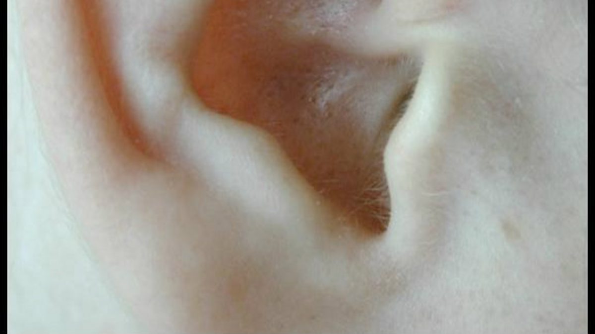 BBC Radio 2 - Simon Mayo Drivetime, Burns Night Sausage Bake, A Very ...