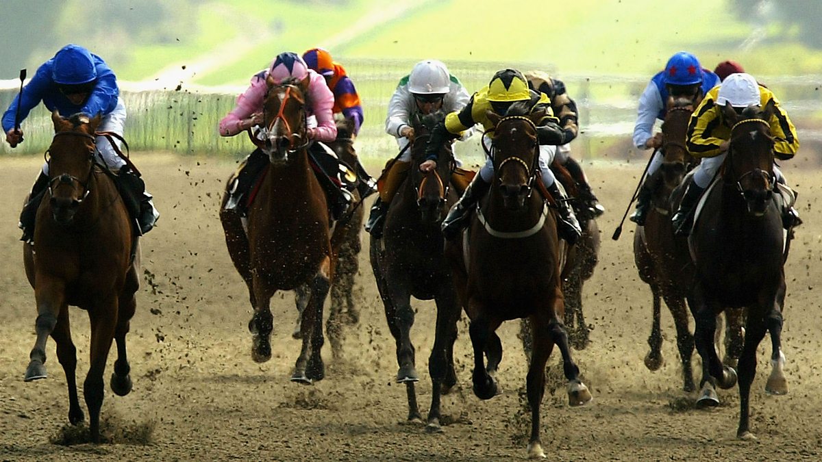 BBC Radio 4 - PM, Racehorse owner gets first win in 26 years