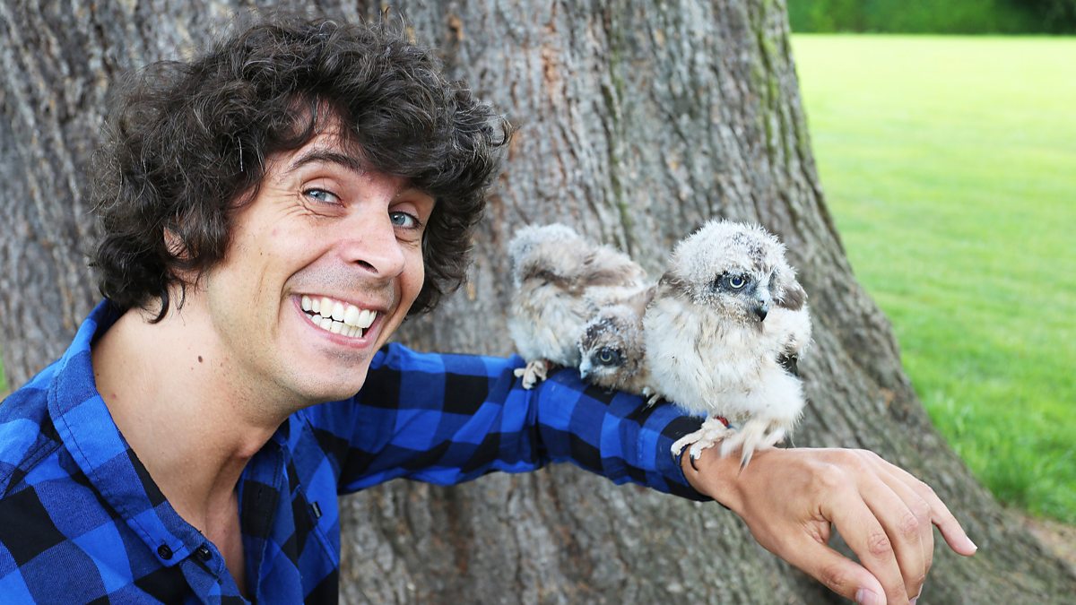 CBeebies - Andy's Baby Animals, Flying