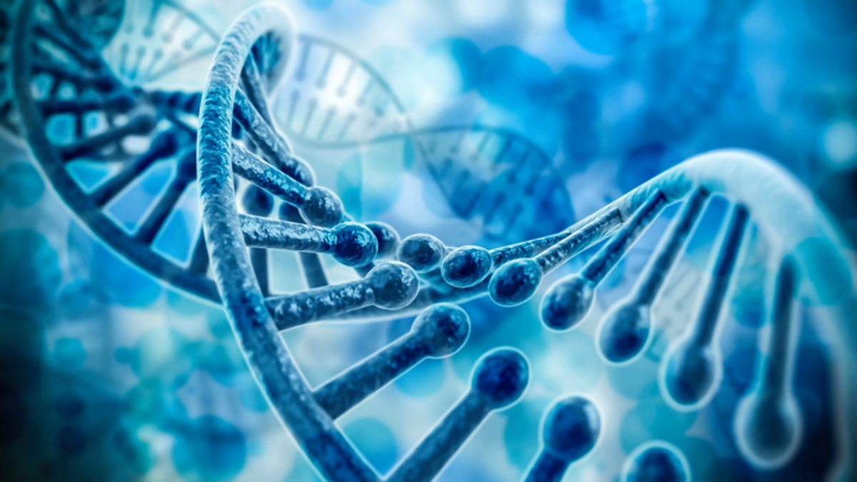 BBC World Service - Genetics Made Simple, What are Genes?
