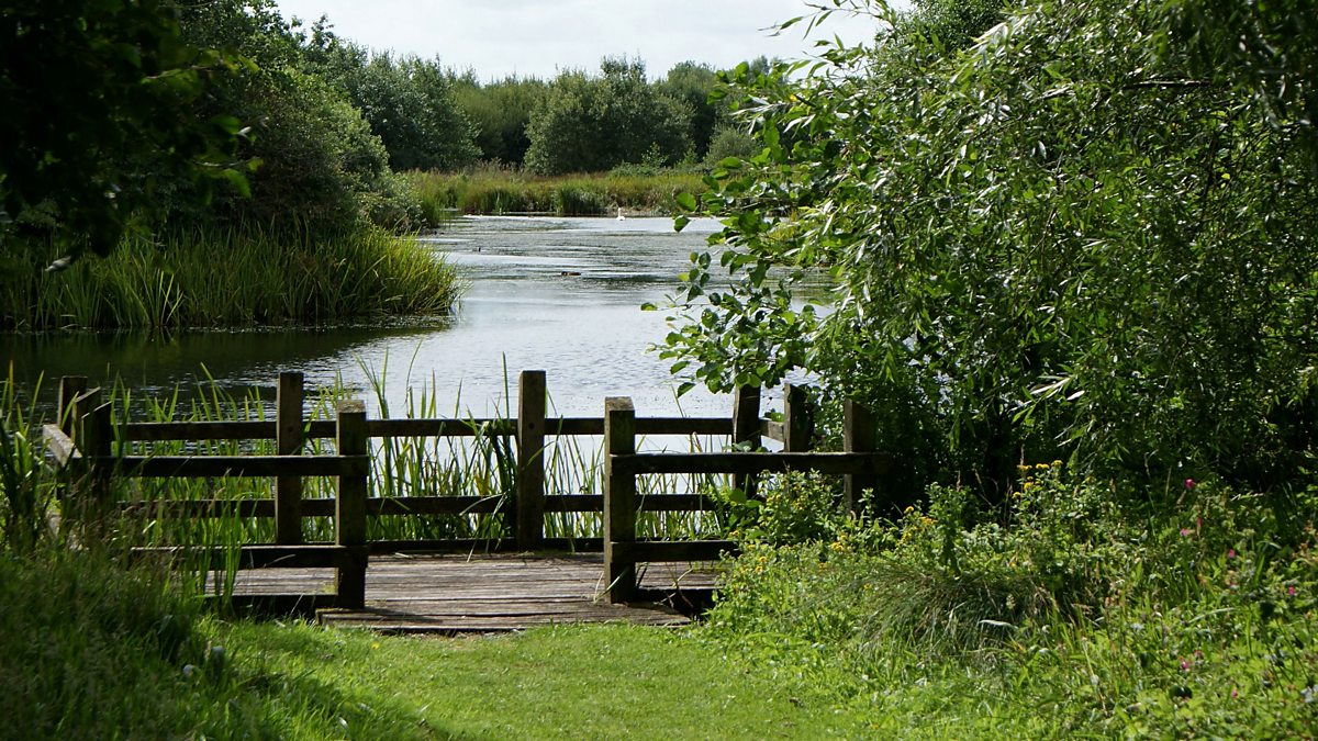 BBC Radio Cymru - Bore Cothi, Gwlyptiroedd a Byw Heb Siwgwr