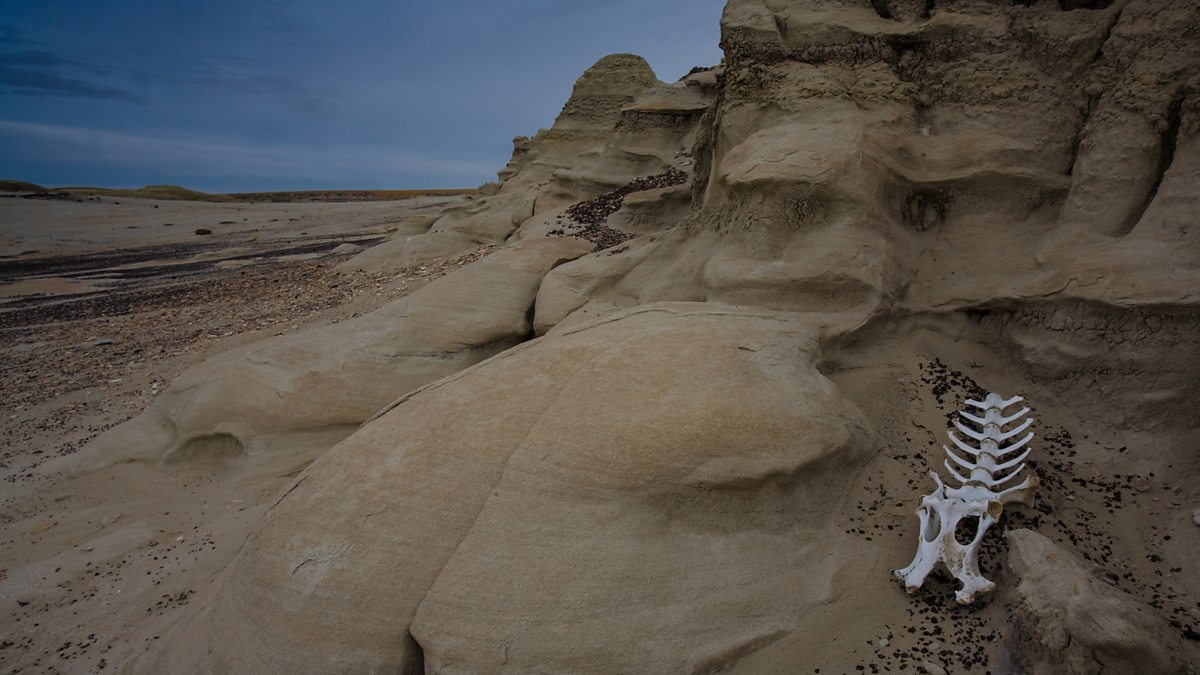 BBC Radio 3 - Sunday Feature - Why is this desert landscape known as ...