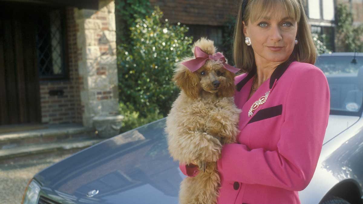 BBC - Sitting Pretty, Series 1 - Episode guide