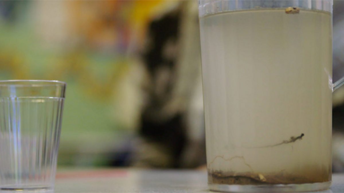 BBC - Learning, How do we clean our dirty water? - Experiment set up