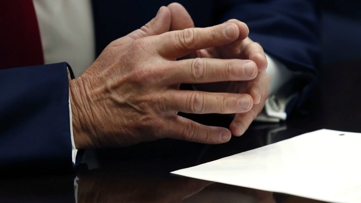 BBC World Service - Trumponomics