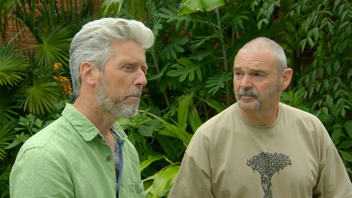 BBC Two - Gardeners' World, 2016, Episode 25, Cactus man