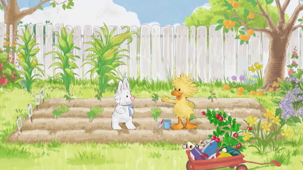 BBC iPlayer - Sù Shiùsaidh/Little Suzys Zoo - Series 1: Episode 2 BBC iPlayer - Sù Shiùsaidh/Little Suzys Zoo - Series 1: Episode 2