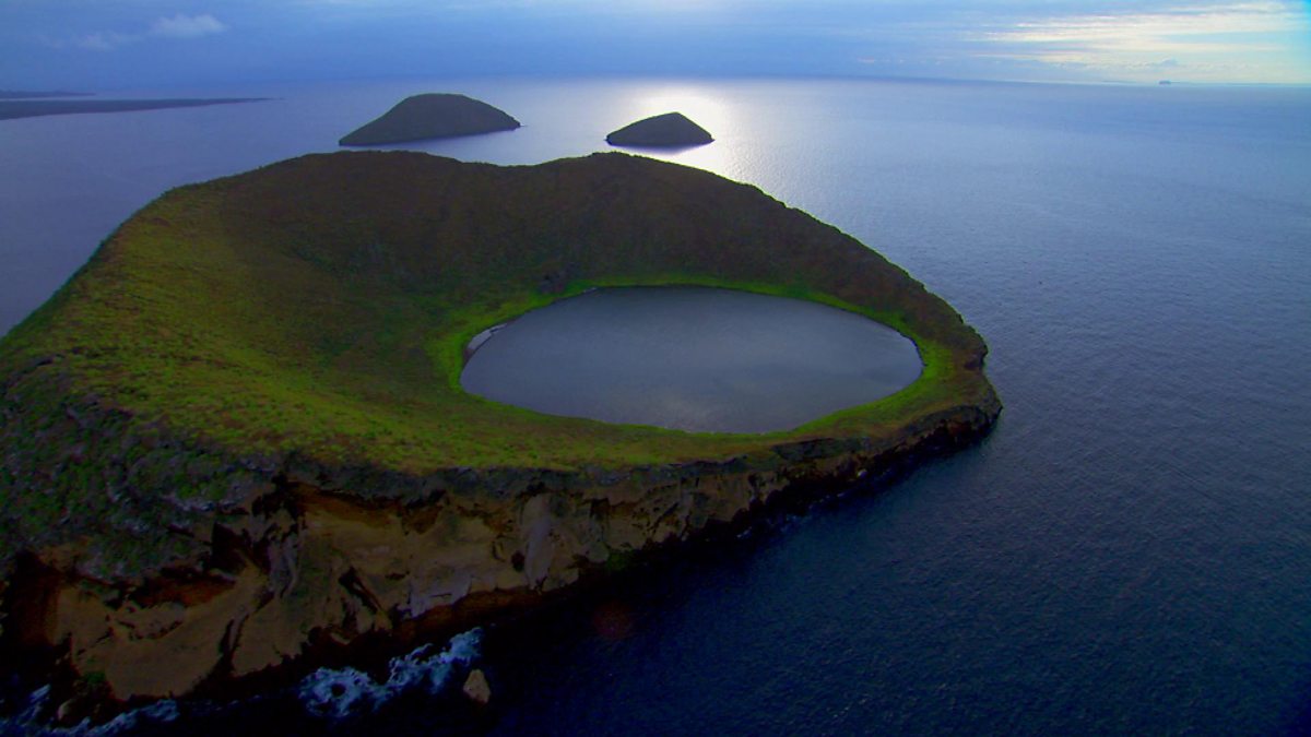 BBC One - Galapagos, Series 1, Cauldron of Life, Meet Alucia