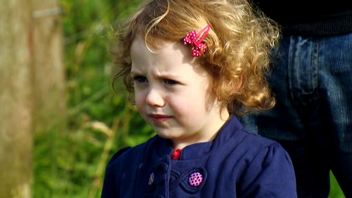 Woolly and Tig - Series 1: 11. One Step at a Time - BBC iPlayer