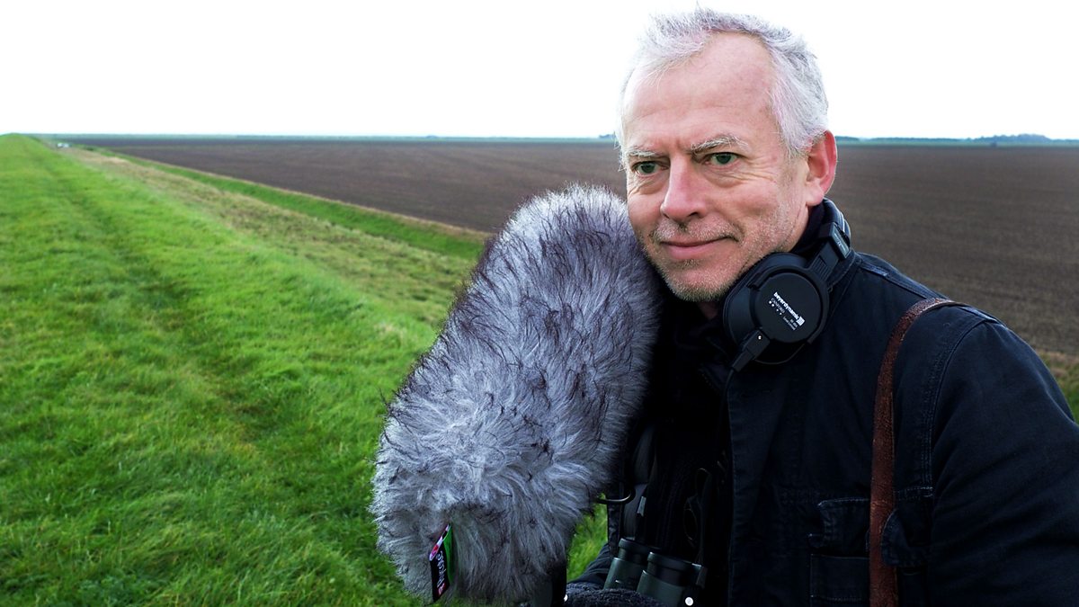 BBC Four - Into the Wind