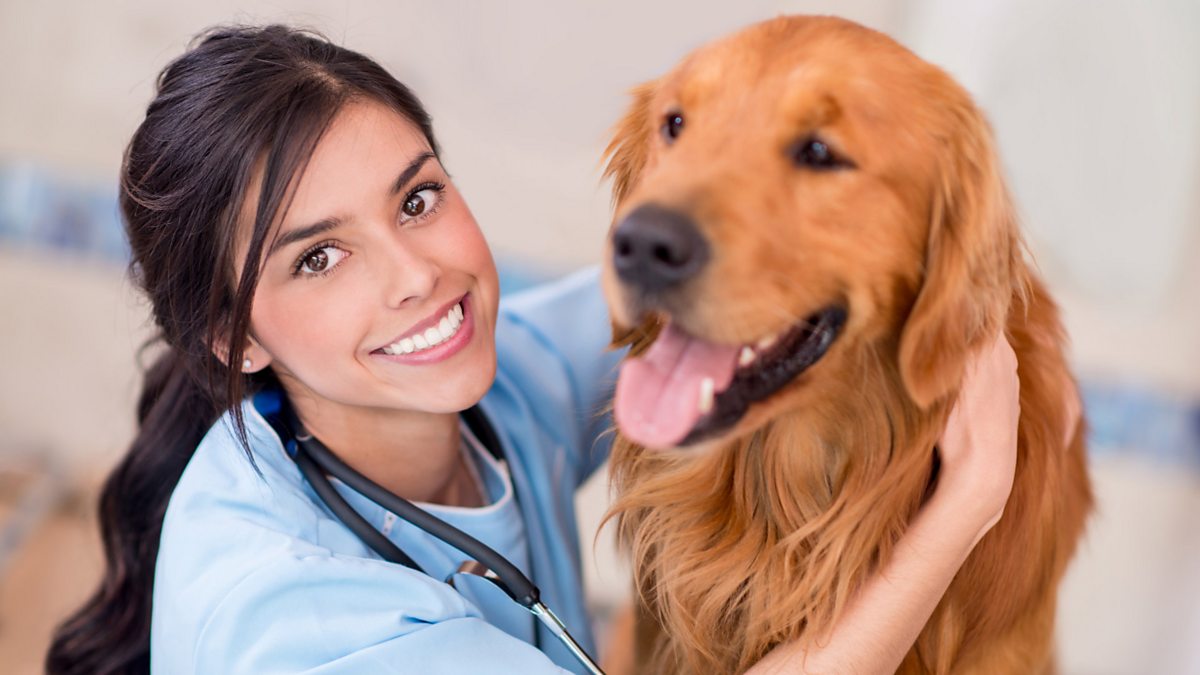 BBC World Service - The Evidence, Should Vets and Doctors Work More ...