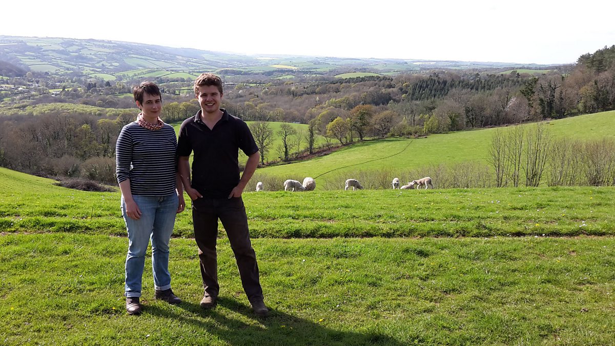 BBC Radio 4 - On Your Farm, Dartmoor Sheep
