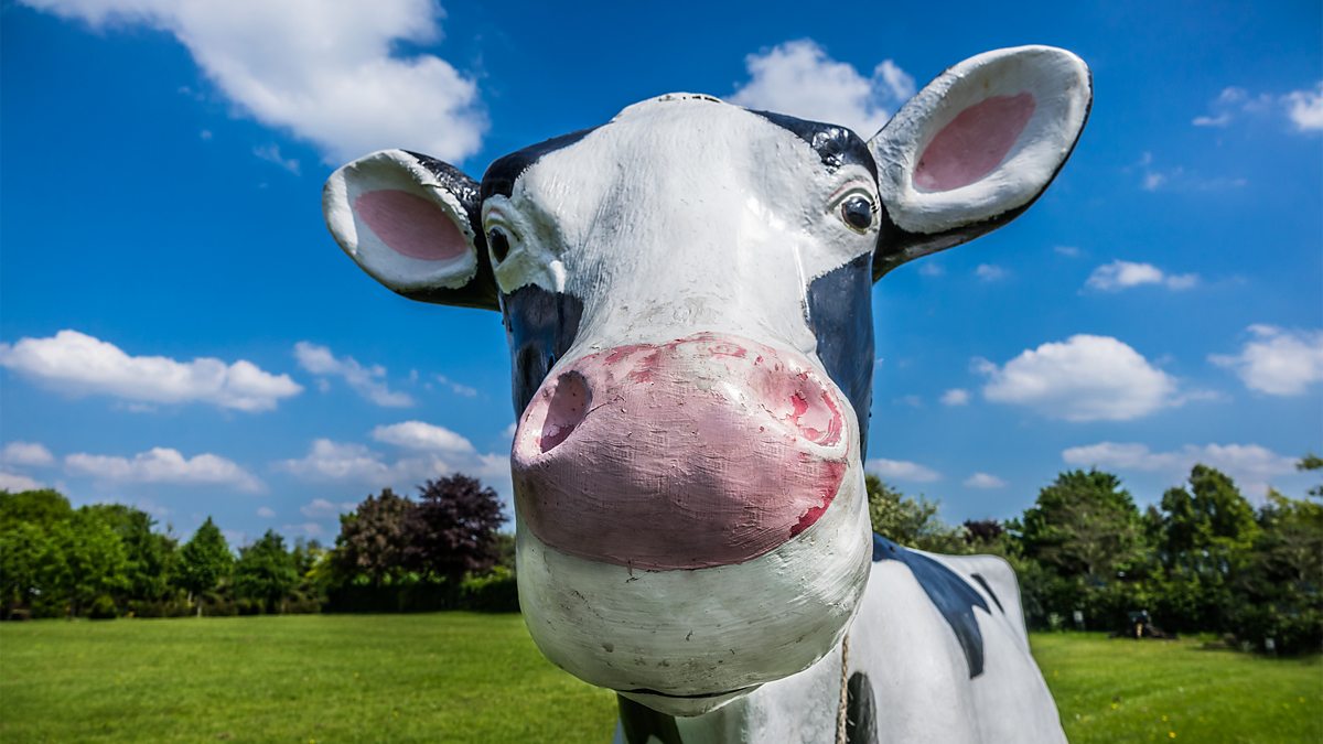 BBC Radio 4 - Funny in Four, Meet the pantomime cow farmer