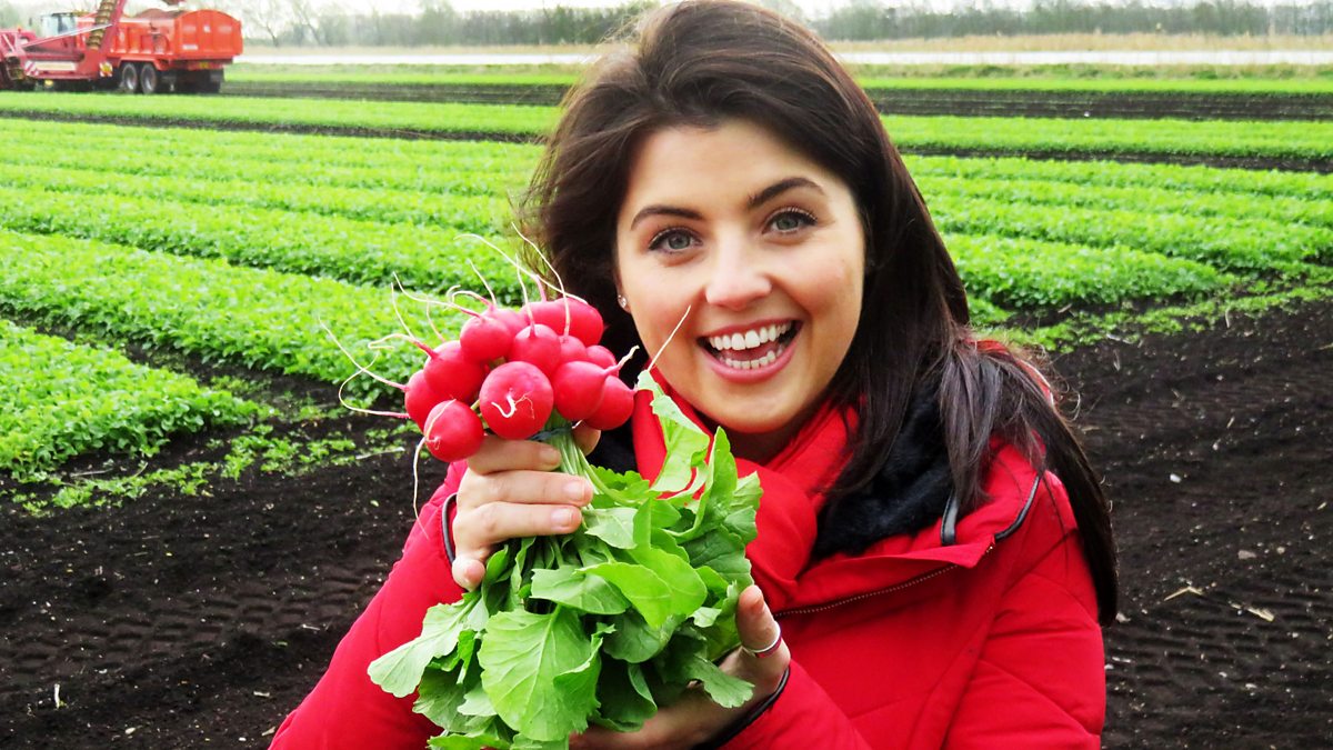 CBeebies iPlayer - Down on the Farm - Series 3: 3. Radishes and Farmers ...