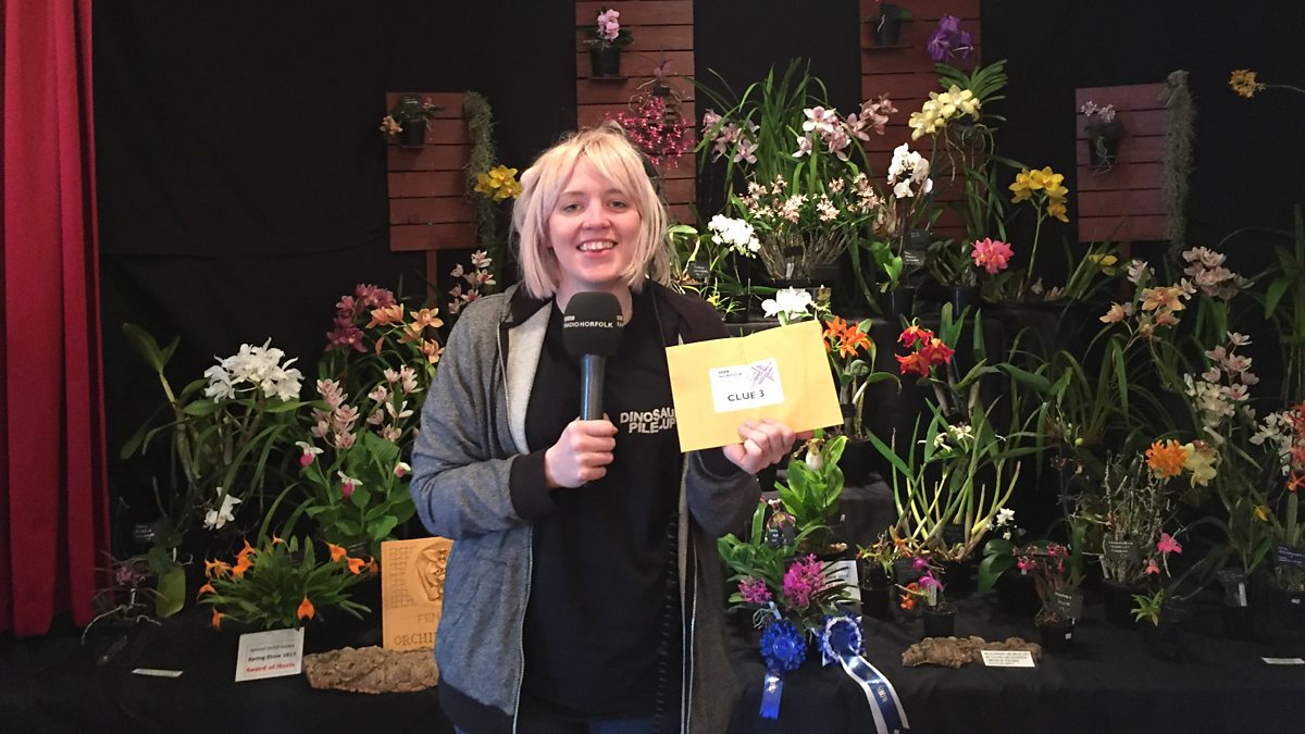 BBC Radio Norfolk - Treasure Quest, With Sophie Little and Anna Perrott ...