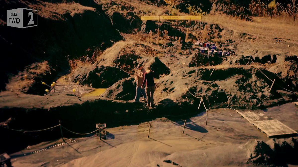 BBC Two - The Day the Dinosaurs Died, A mass pre-historic grave