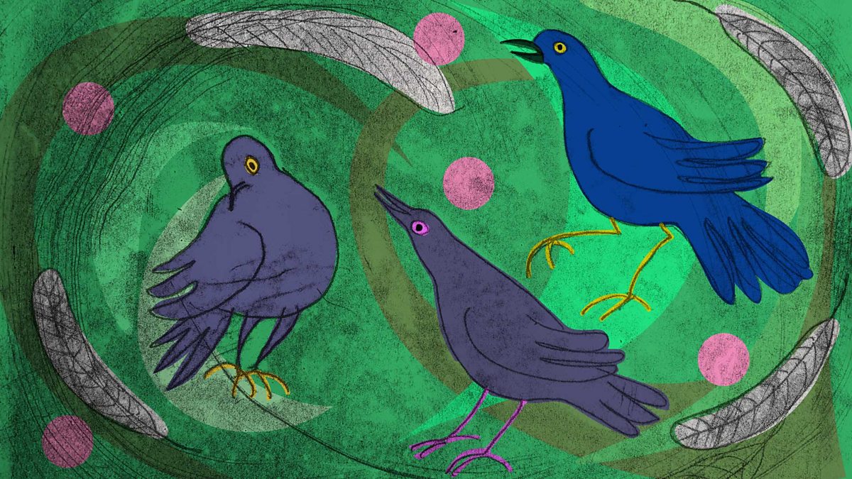 BBC Radio 4 - Tweet of the Week, Simon Barnes's Tweet of the Week, Pt 2