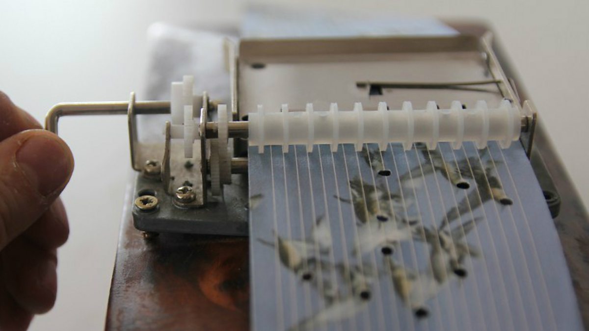 BBC Radio 4 - Natural Histories, Starling, Turning starling pictures ...