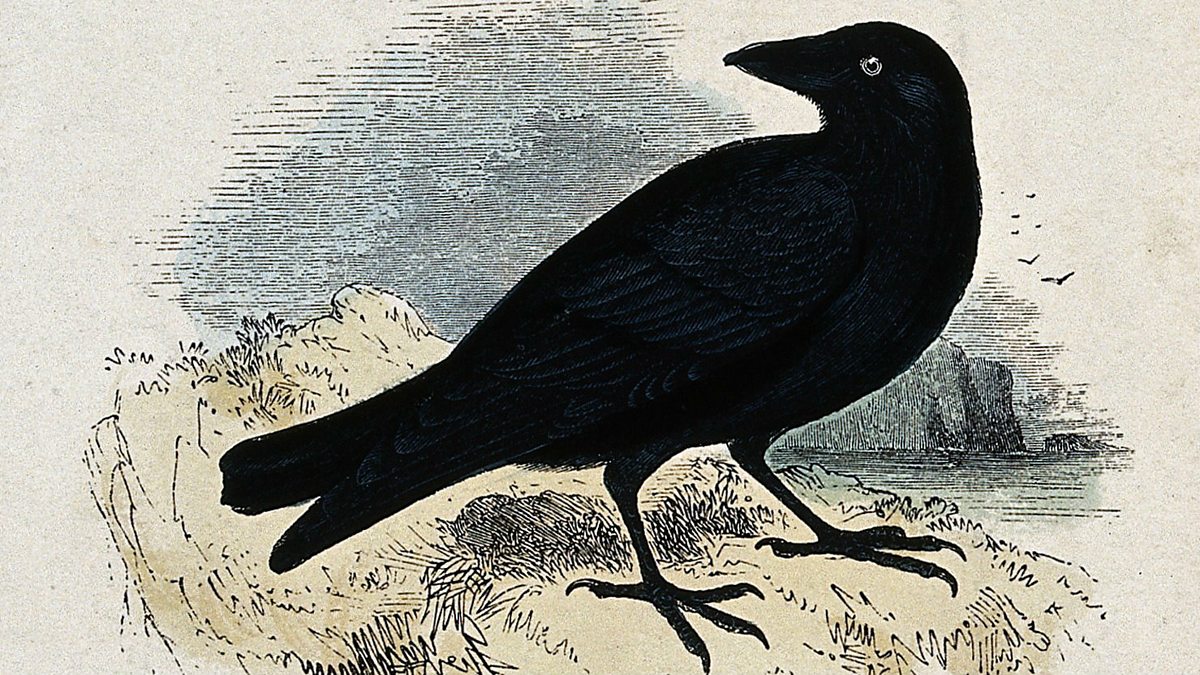 BBC Radio 4 - Tweet of the Week, Miles Warde