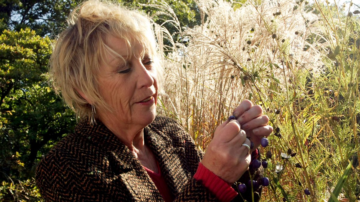 BBC Two - Life in a Cottage Garden with Carol Klein