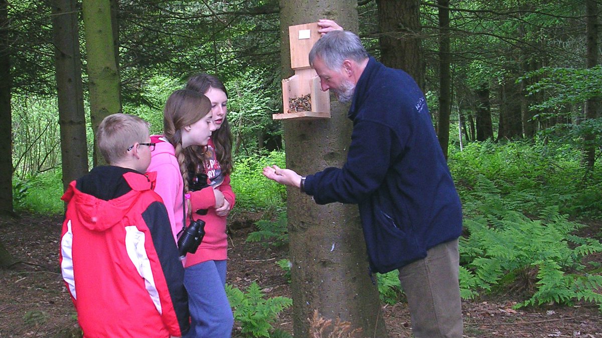 BBC Scotland - Scotland’s Wildlife, Series 1, Supporting native species ...