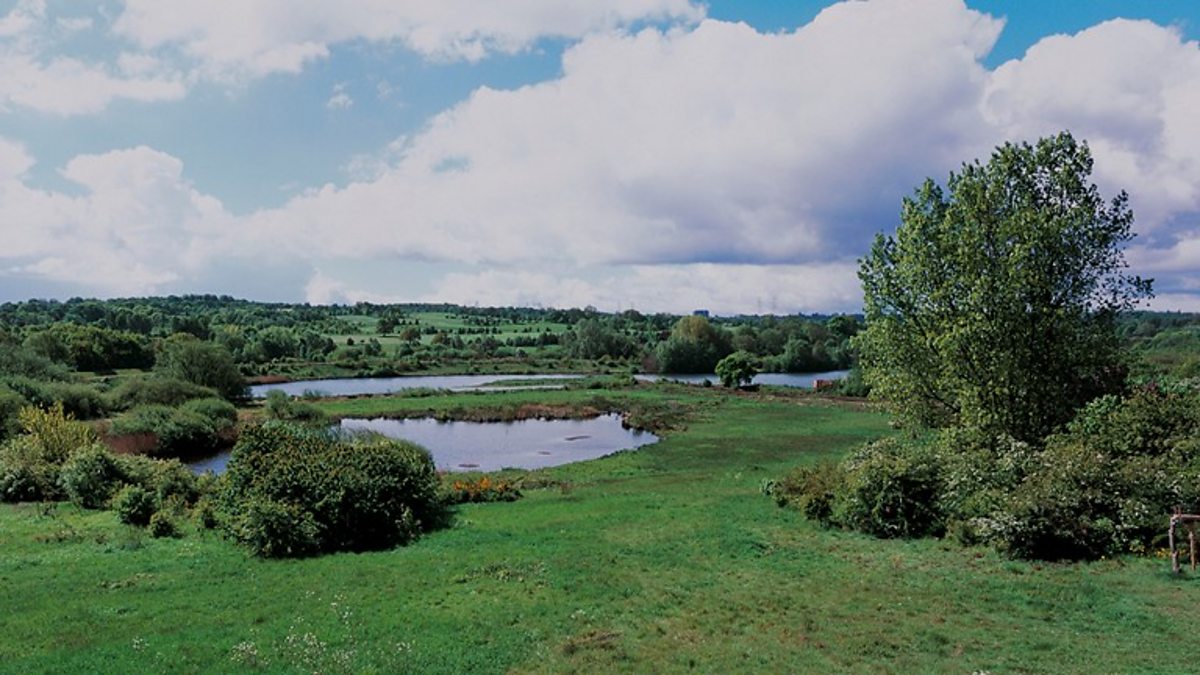 BBC Blogs - Springwatch - Meet the RSPB volunteers inspiring ...