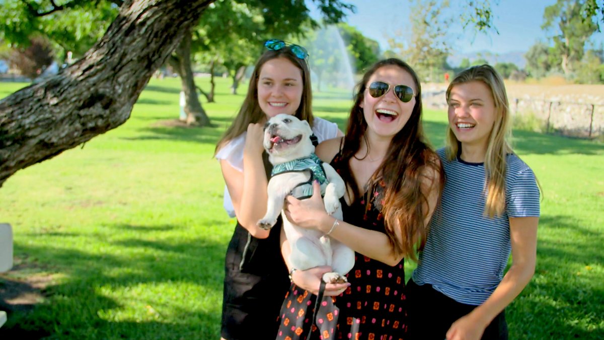 Matilda and the Ramsay Bunch - Series 3: 6. The LA Dogs - BBC iPlayer