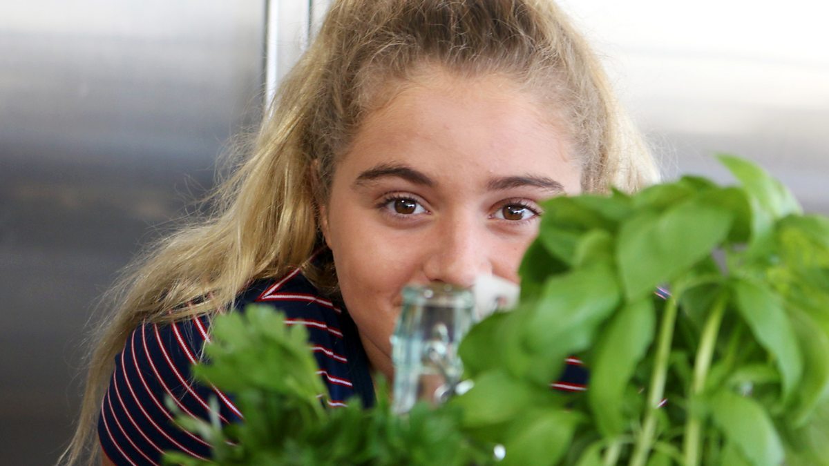 Matilda and the Ramsay Bunch - Series 3: 7. The Grand Prix - BBC iPlayer