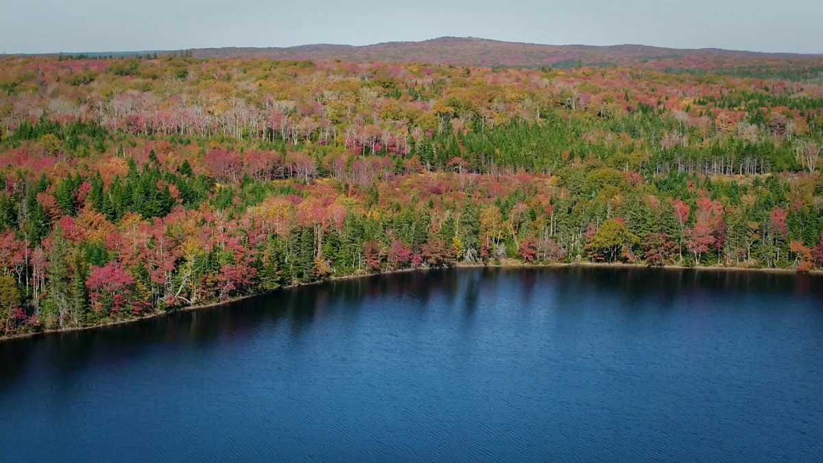 BBC Two - The Hector: From Scotland to Nova Scotia, Neil Oliver ...