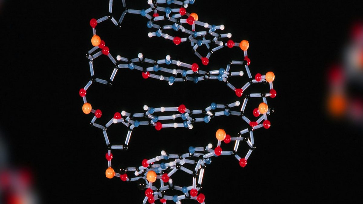 BBC Radio Berkshire - Anne Diamond, 29/06/2017 The Real Life DNA ...