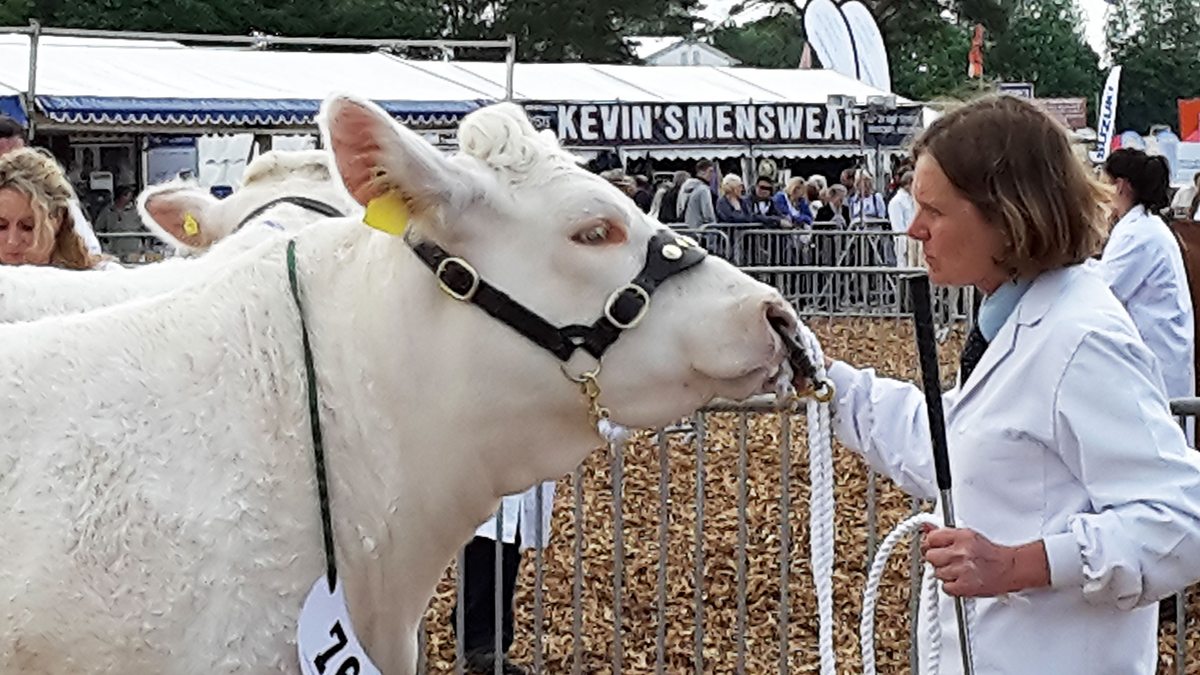 BBC Radio 4 - Woman's Hour, Women with Big Bulls, LGBT Politicians ...