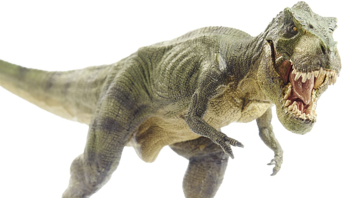 BBC World Service - The Newsroom, T-Rex: Ferocious predator was really ...