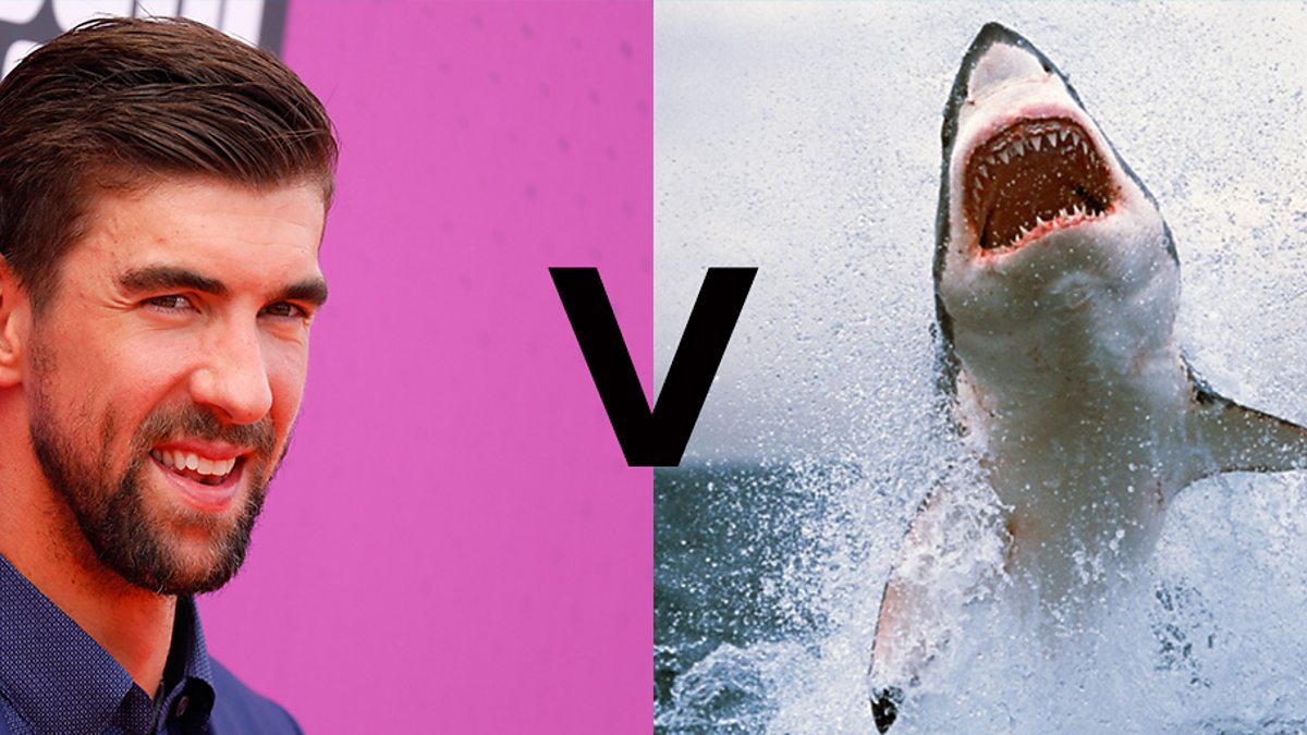 BBC Radio 5 Live - 5 Live In Short, Man vs Shark