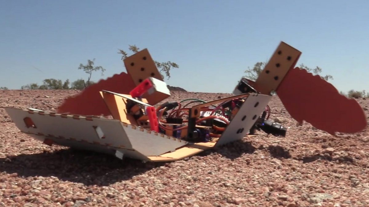 BBC News - Click, Virtual: The Reality, The landmine detecting robot ...