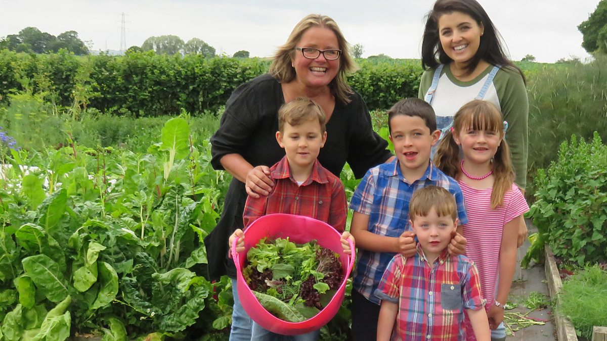 Down on the Farm - Series 3: 8. Flowers and Quinoa - BBC iPlayer