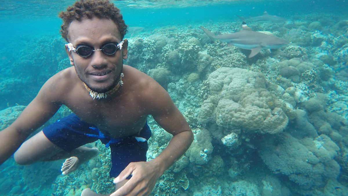 BBC Two - Tribes, Predators & Me - In pictures... The Shark People of ...