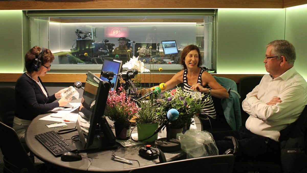 BBC Radio Ulster - Gardeners' Corner, Gardeners' Corner summer phone-in ...
