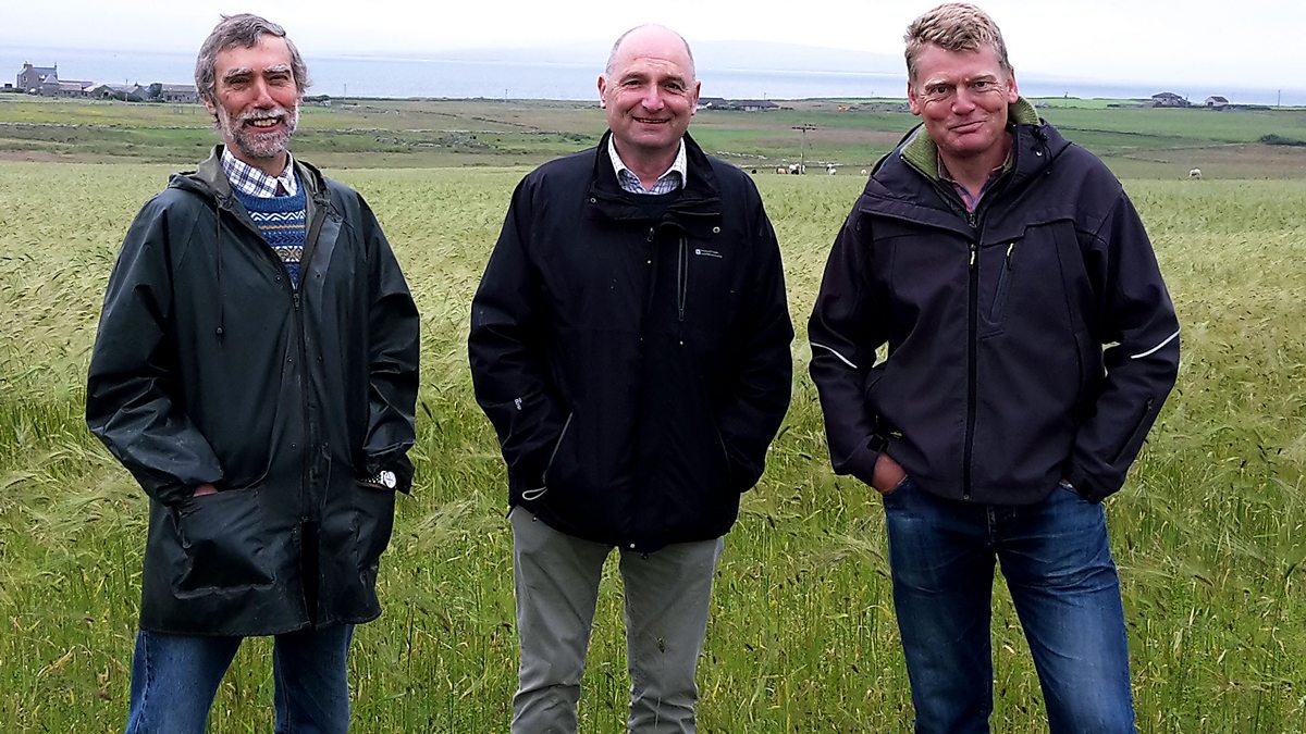 BBC Radio 4 - On Your Farm, Orkney's Ancient Grain