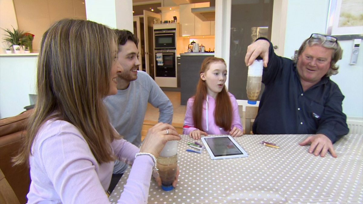 BBC - Learning, Famous families DIY: 4