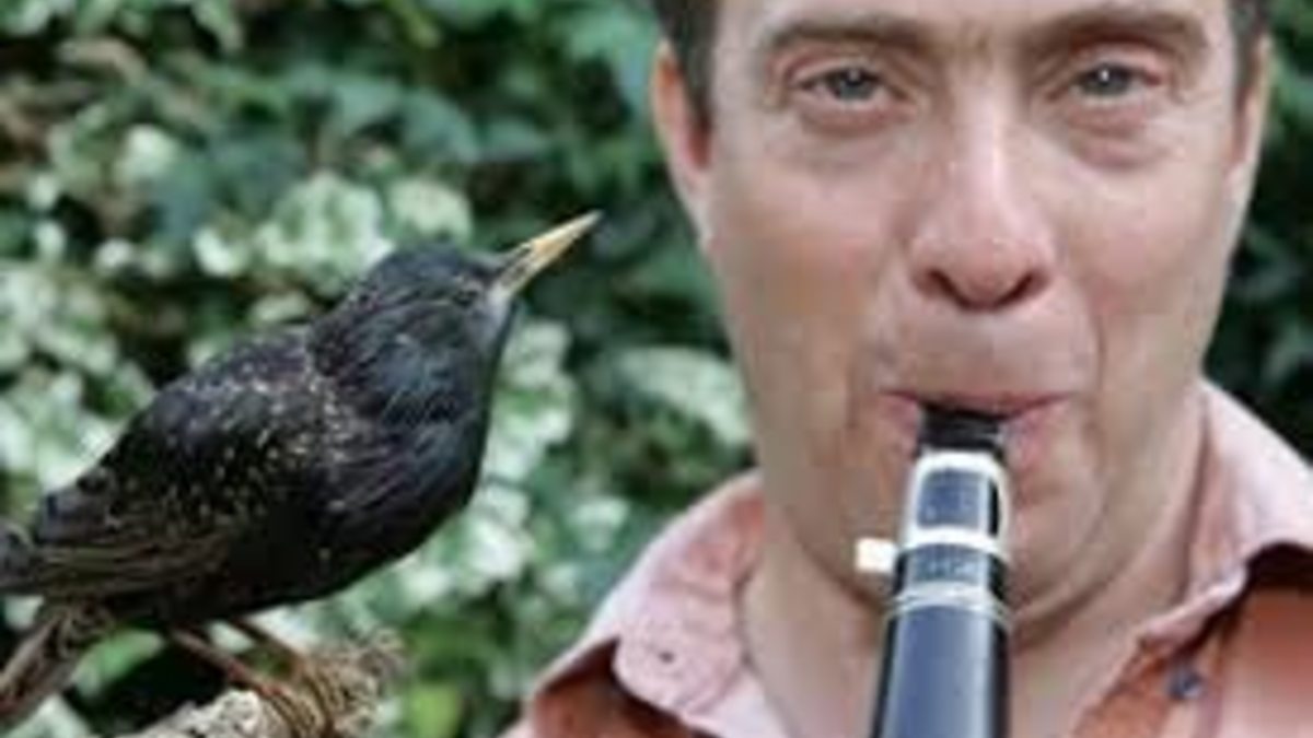 BBC Radio 4 - Tweet of the Week, David Rothenberg