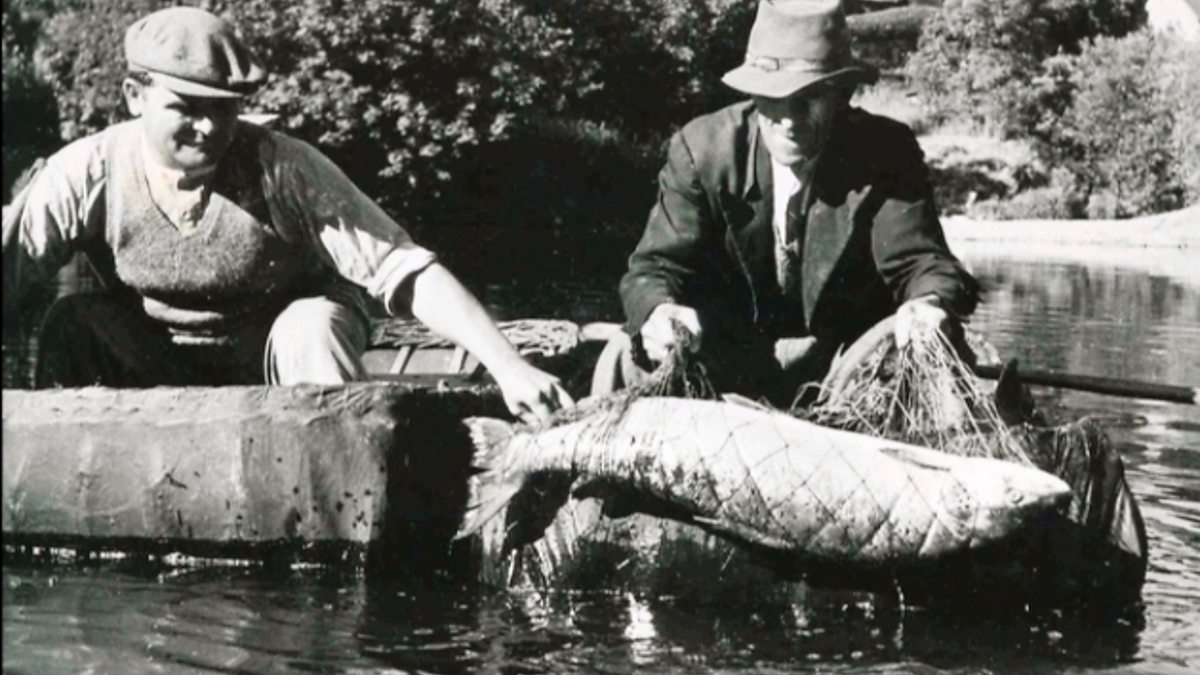 BBC One - Britain Afloat, Series 1, The Coracle, Traditional coracle ...