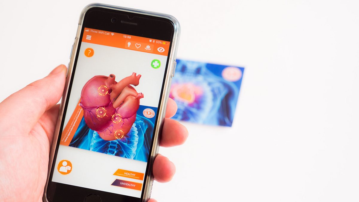 BBC Two - The Human Body: Secrets of Your Life Revealed, See the Human ...